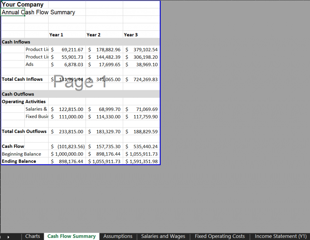 Dropshipping Financial Model Template – VIP Graphics
