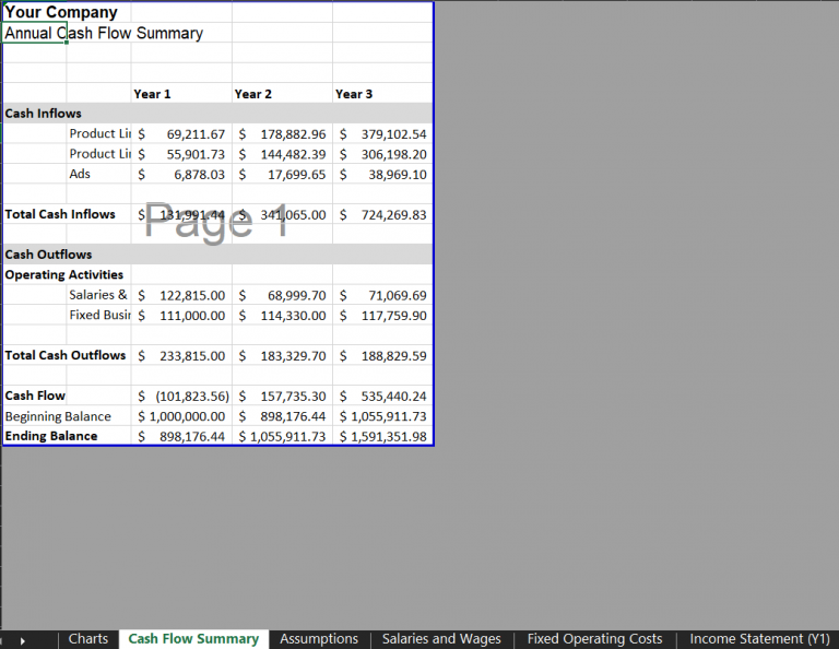 Dropshipping Financial Model Template – VIP Graphics