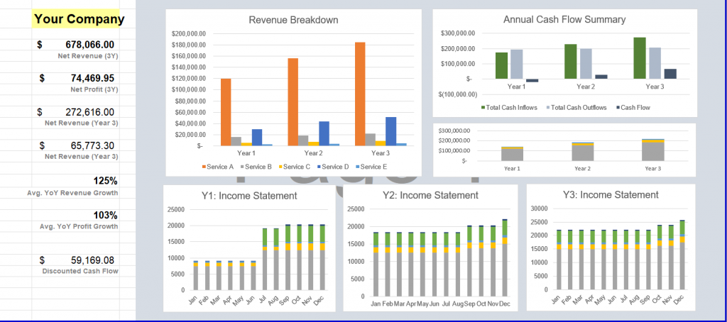 Professional Services Financial Model Template – VIP Graphics
