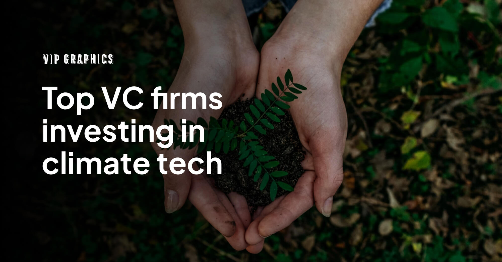 Top 10 climate & sustainability investors & VC firms – VIP Graphics